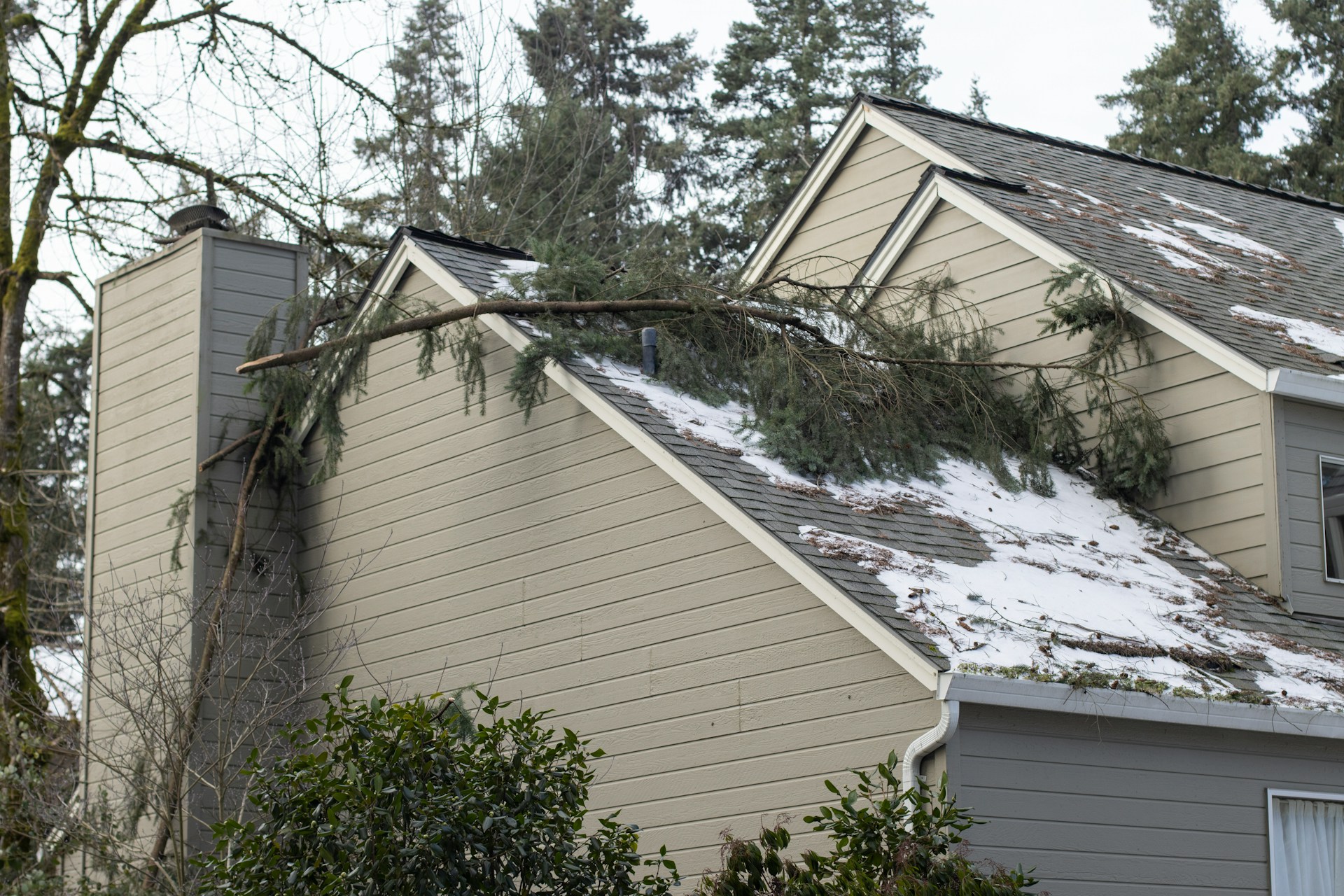 How to Spot Roof Damage After a Winter Storm